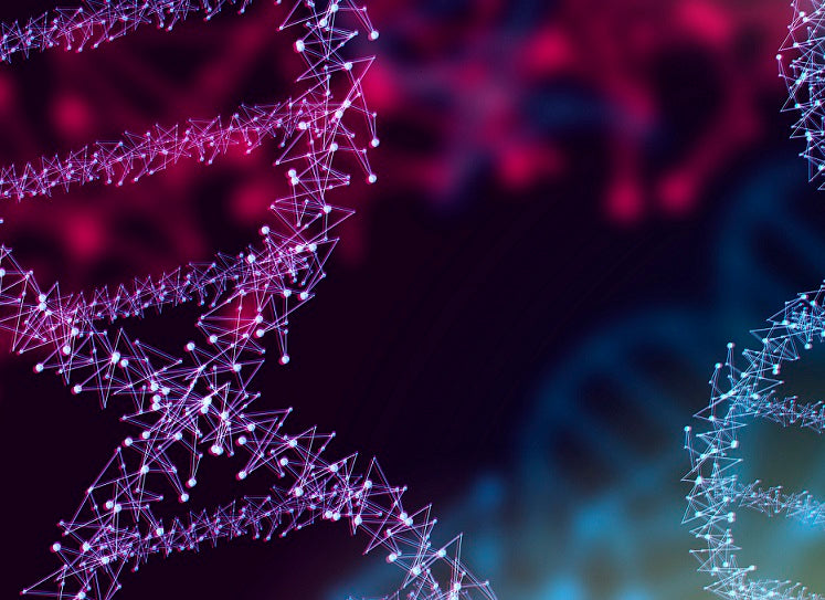 Induced Pluripotent Stem Cell Generation from Adult Cells – Moonspells ...