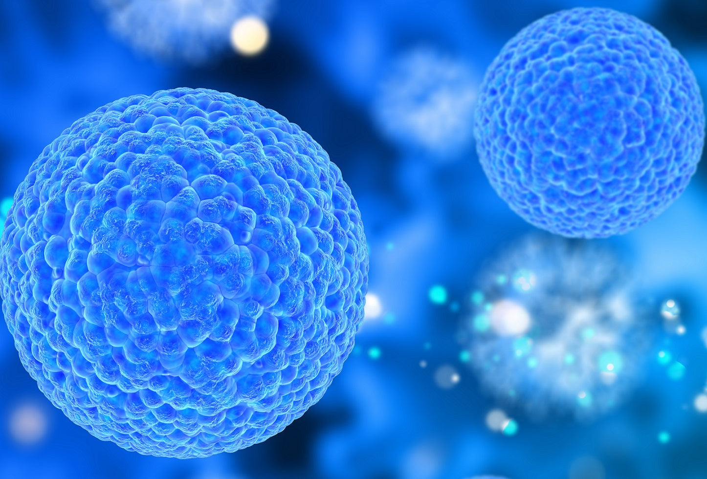 Reversing Aging, Unveiling the Potential of Stem Cell Therapy (Part 3 ...