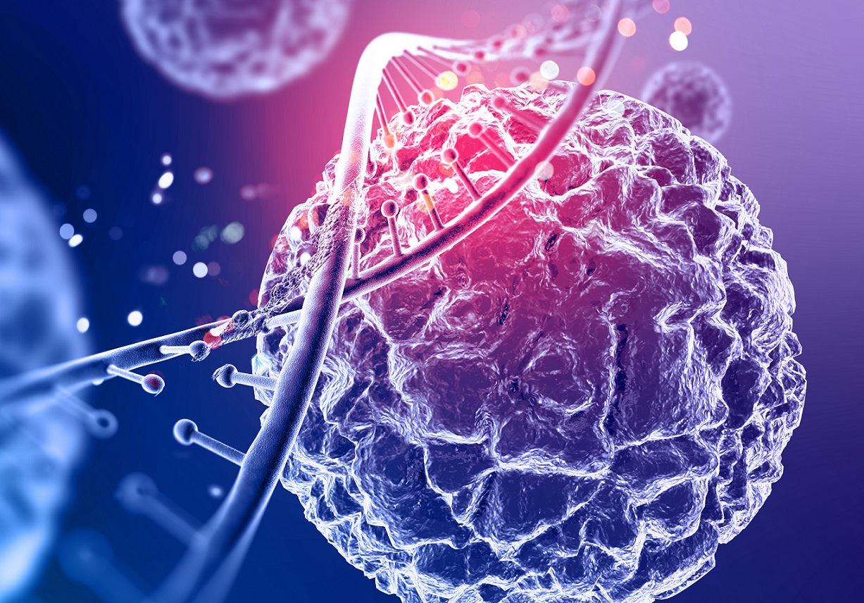 Stem Cell Research Surrounding Aging (Part 2 of 3) – Moonspells Beauty