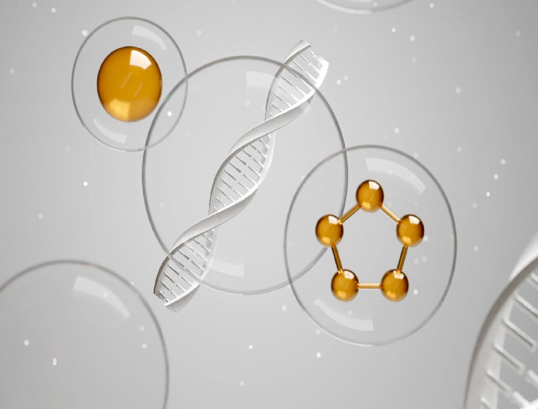 Key Discoveries in Stem Cell Survival – Moonspells Beauty