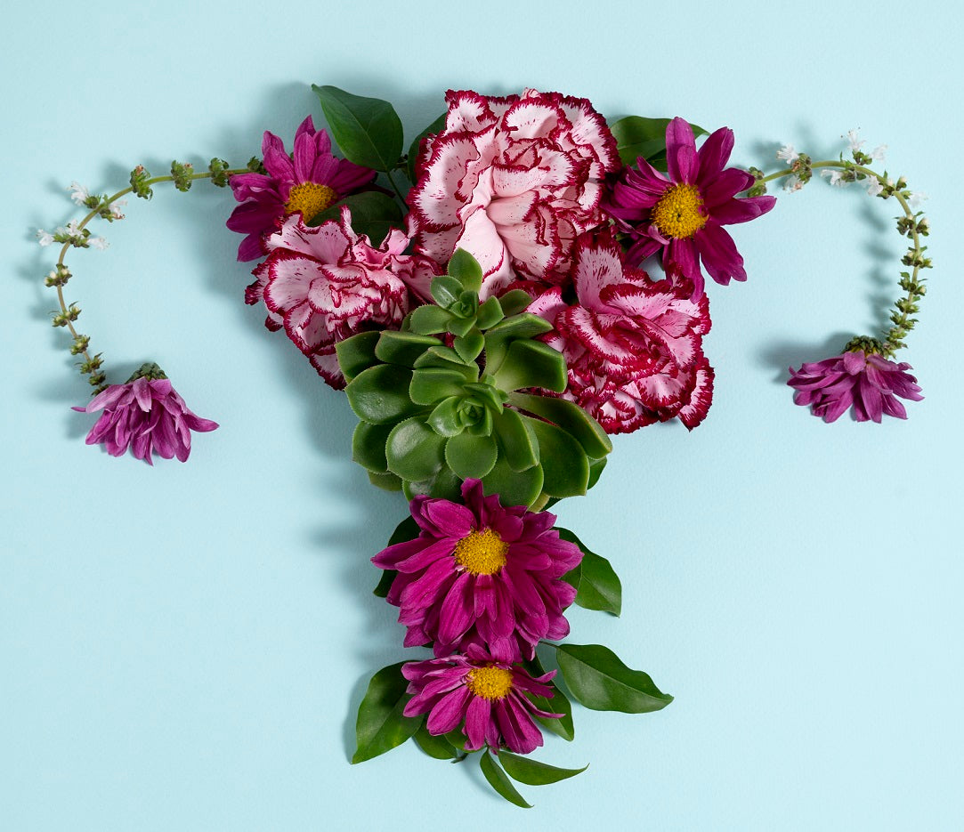 PCOS and Exploring Stem Cell Therapy as a Potential Treatment ...